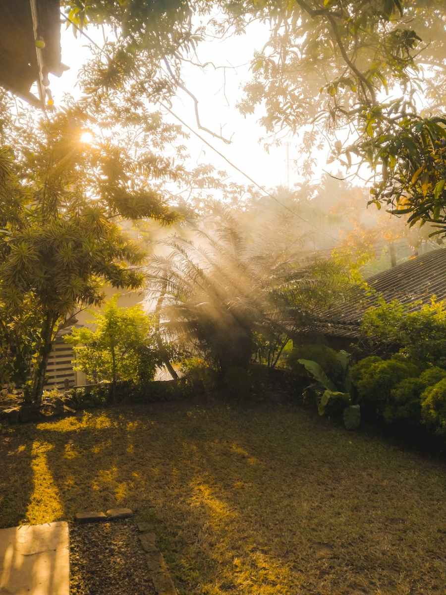 Connection to Nature – Miranda Adams Coaching